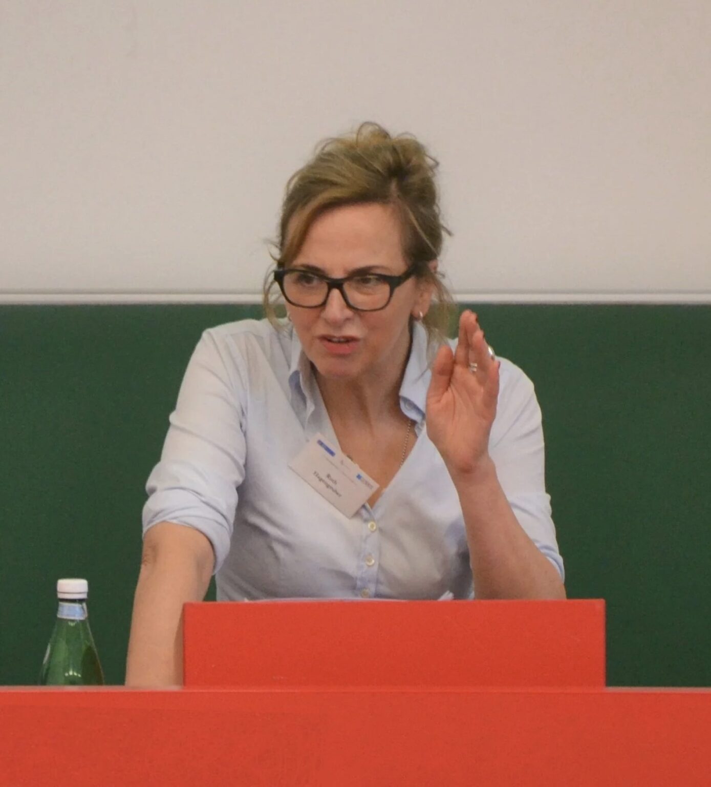 Elisabeth of Bohemia Prize Committee 2025 - History of Women ...